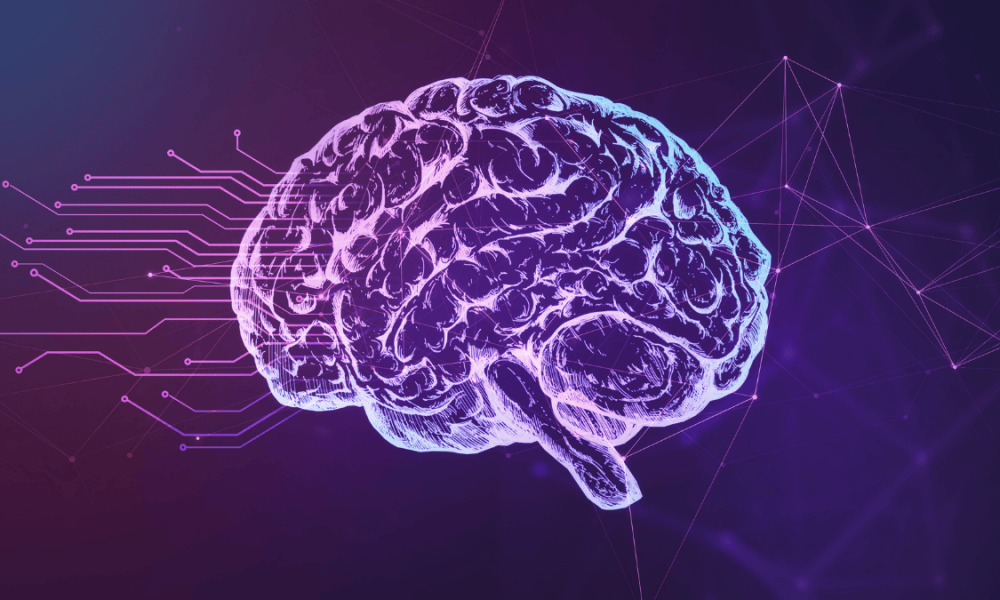 Researchers use MRI to image epigenetics in the brain - Health Tech World