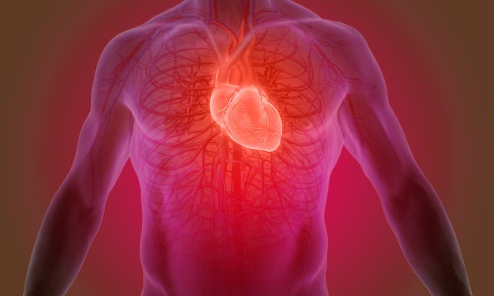 Advanced sequencing technology gives insight into heart disease