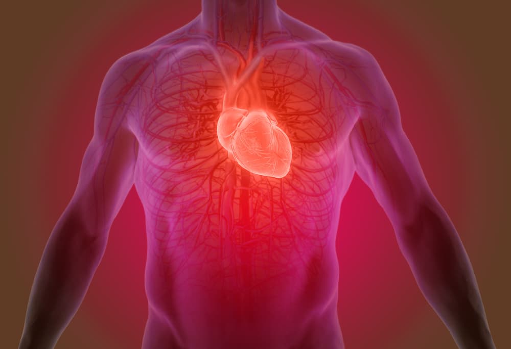 Advanced sequencing technology gives insight into heart disease