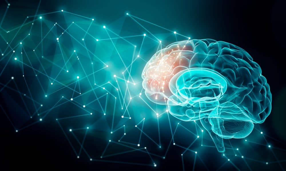 Nexstim: Improving spinal cord injury outcomes with TMS